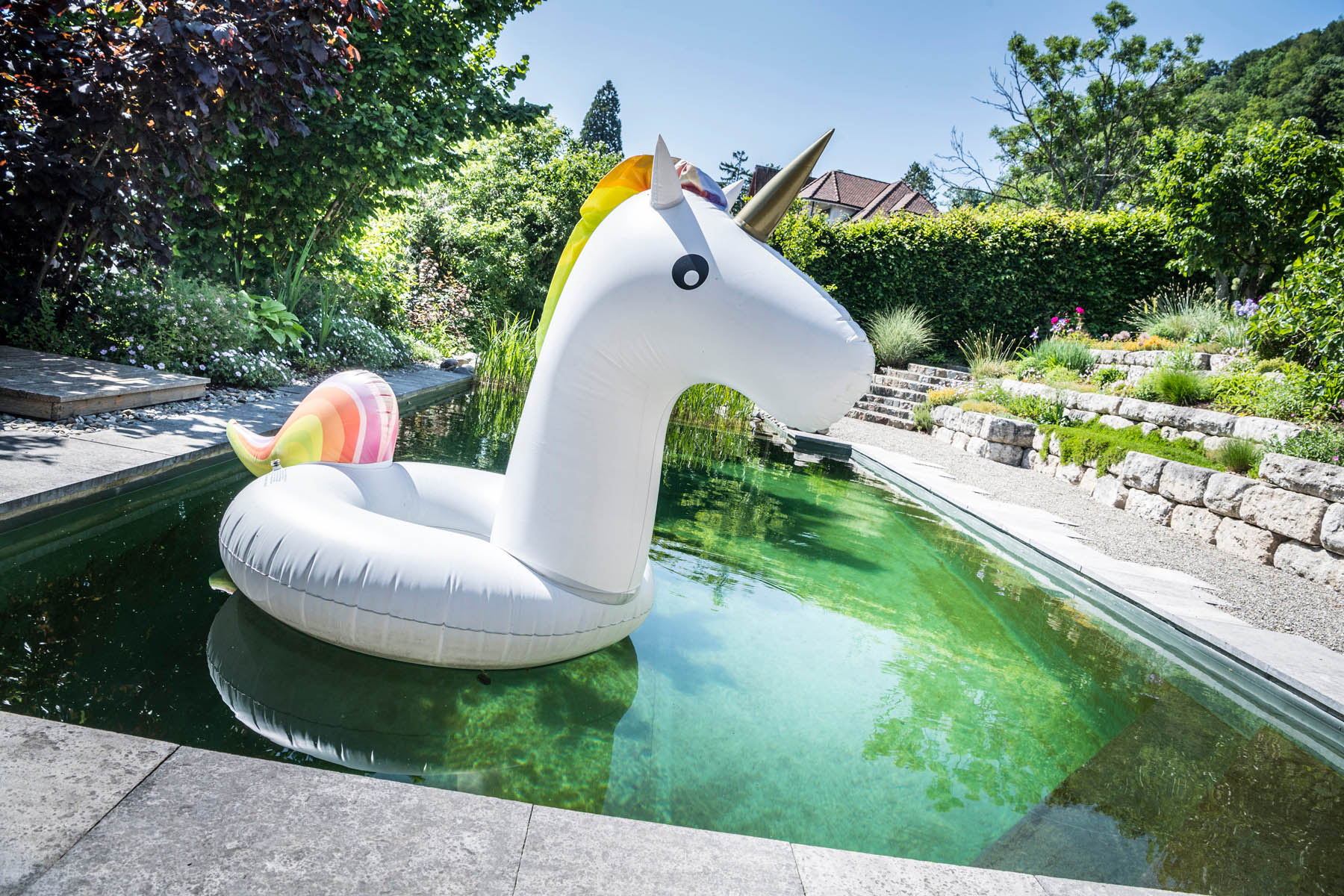 Startseite - Grimm: Für Garten, Naturpools und Landschaftsbau